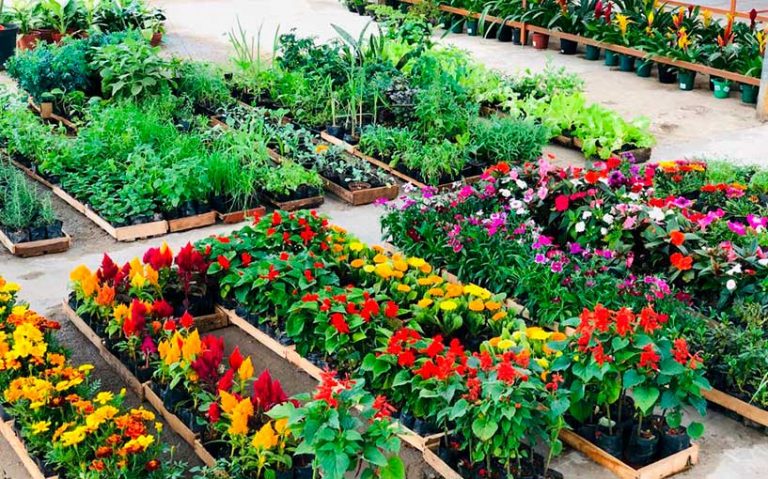 GARDEN em São Bernardo: Por que você precisa conhecer a ABC Garden ...