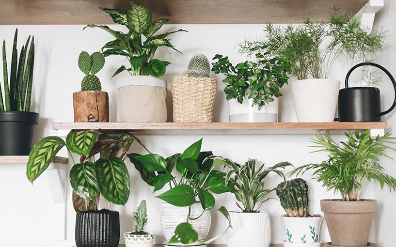 vasos-de-plantas – ABC Garden