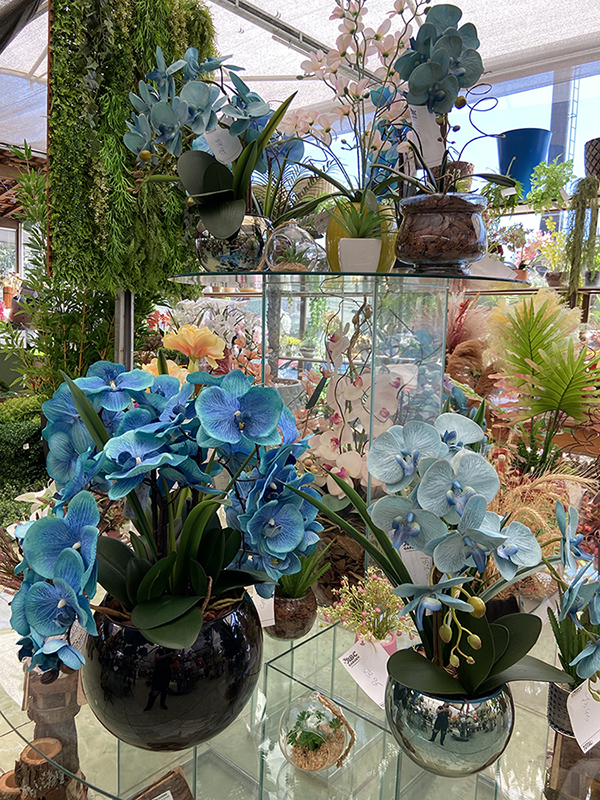 IMG_1968 – ABC Garden