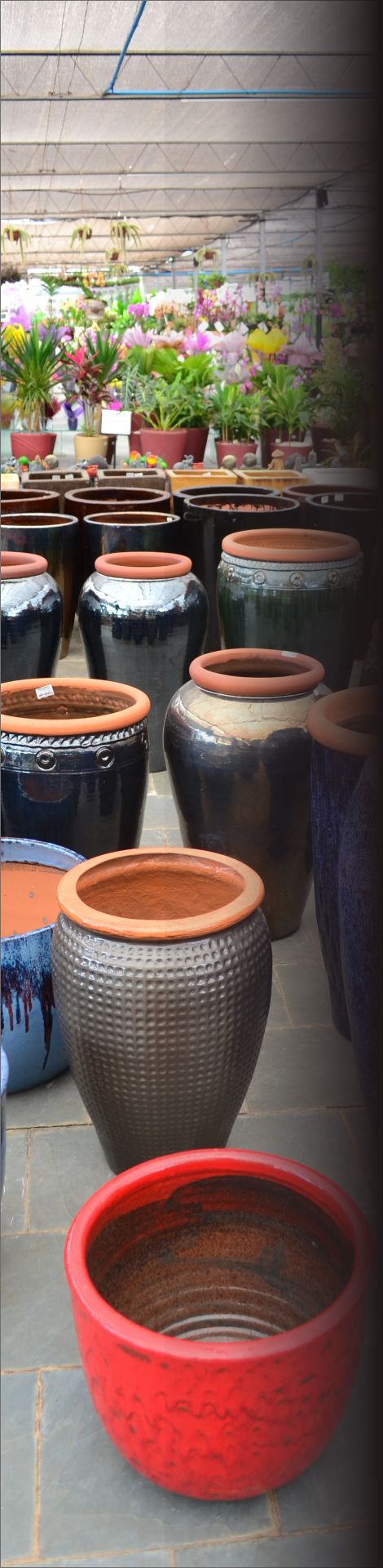 vasos-2 – ABC Garden